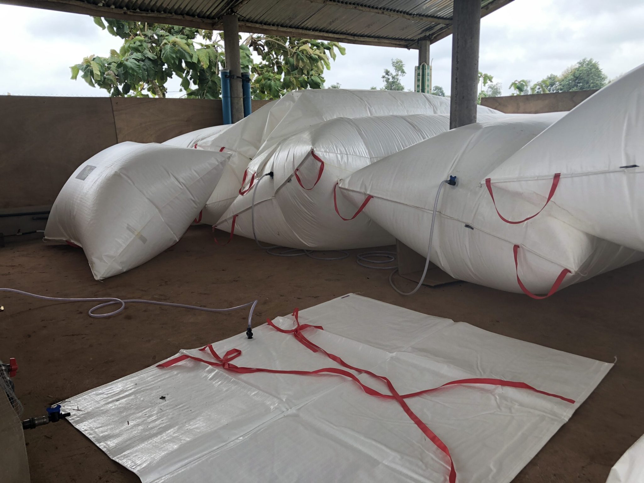 Welcome to (B)energy